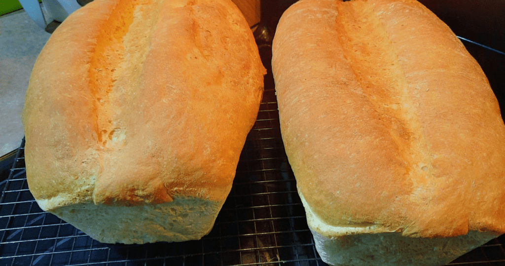 Quick Discard Sourdough Bread – Cauldrons & Cookies