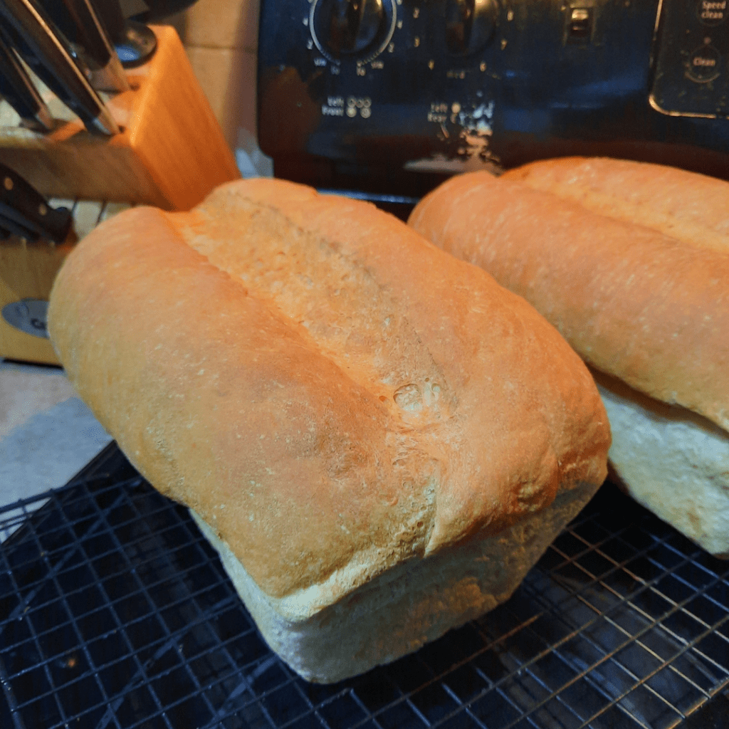 Quick Discard Sourdough Bread – Cauldrons & Cookies